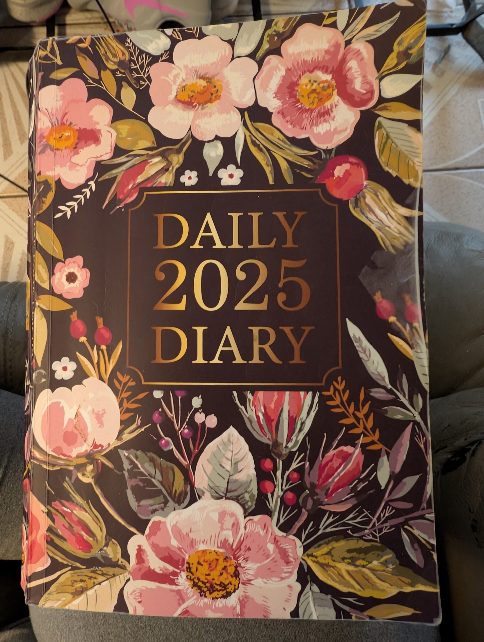 Journal Entry Sunday January 12, 2026 – Edna's art Journal