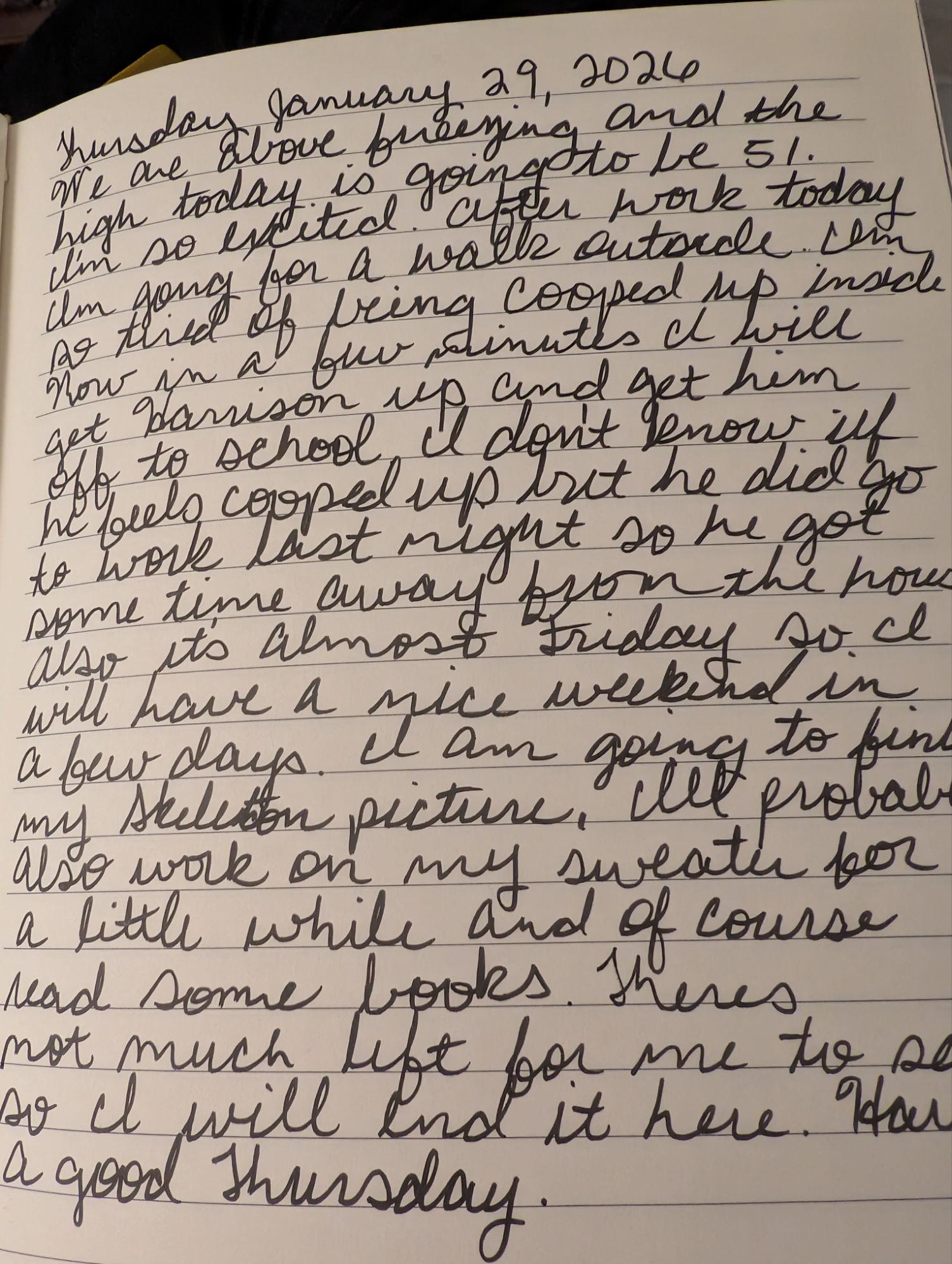 Journal Entry Thursday January 29, 2026. – Edna's art Journal